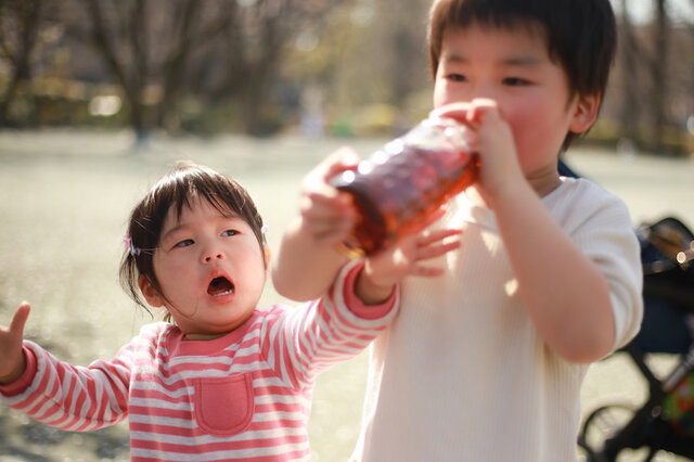 人のものを欲しがる子 力ずくで取ろうとする子 どうすべき？ 心理学者が回答 げんき